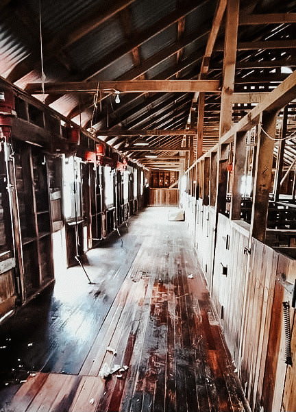 Combined Voices – Fresh Retro Love